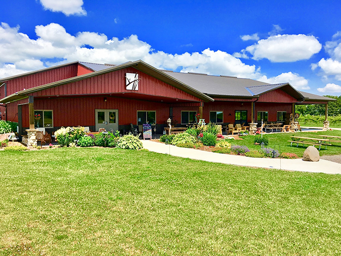 Vines & Rushes: Where grapes and grains unite! This winery-meets-pizzeria is the crossover episode we didn't know we needed.