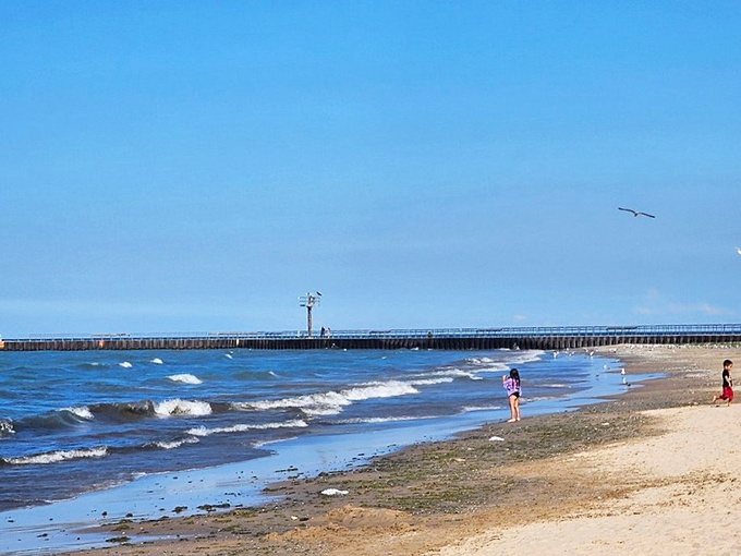 Skyscrapers and sand dunes collide at 63rd Street Beach. It's like someone took Miami and gave it a Midwest makeover.