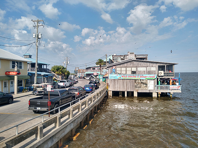 Cedar Key: Old Florida charm at its finest. This bird's-eye view showcases Cedar Key's perfect blend of land and sea.