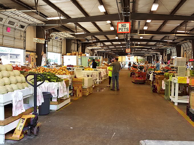 From heirloom tomatoes to homemade jams, Charlotte's market is a culinary adventure wrapped in small-town charm.
