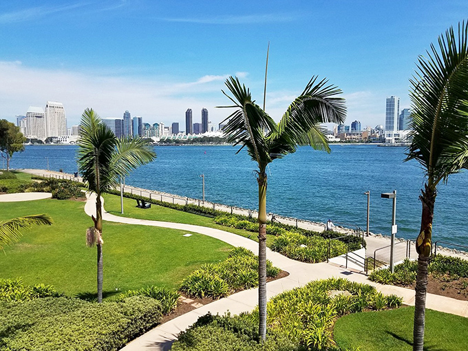 Urban oasis: Coronado's waterfront park. Palm trees and manicured lawns offer a perfect spot for picnics with a view of San Diego's skyline.