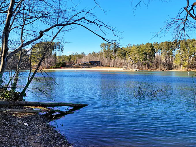 The sandy shore stretches out like a welcome mat to Lake Lanier. Don Carter's beach: proving that sometimes, the best things in life are lake-adjacent.