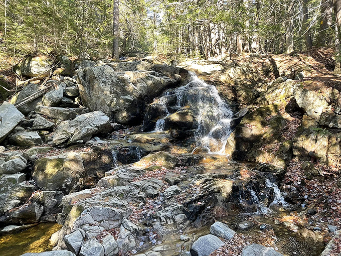 Upper or lower? At Dunn Falls, you don't have to choose. It's a two-for-one deal that even extreme couponers would envy!