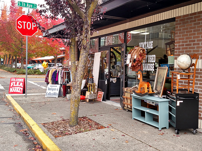 Capitol cool meets flea market chic! Olympia's Fifth Avenue: Where every find tells a story.
