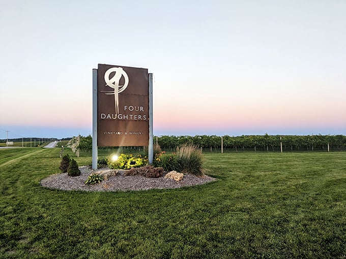Vineyard vistas and vino: Four Daughters' outdoor space is an invitation to sit, sip, and solve all the world's problems.