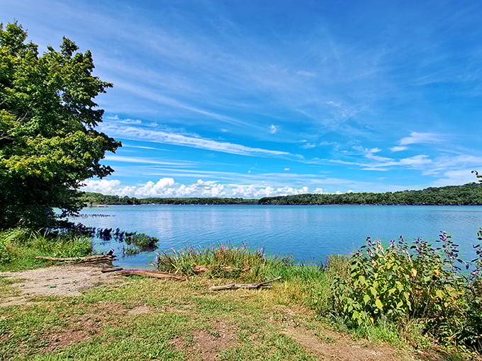 Lakeside bliss at Hueston Woods: Nature's own water park, minus the lines and overpriced snacks. Dive into pure Ohio magic!