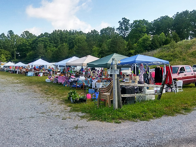 White canopies dot the landscape like sails on a sea of treasures, each booth promising new discoveries.