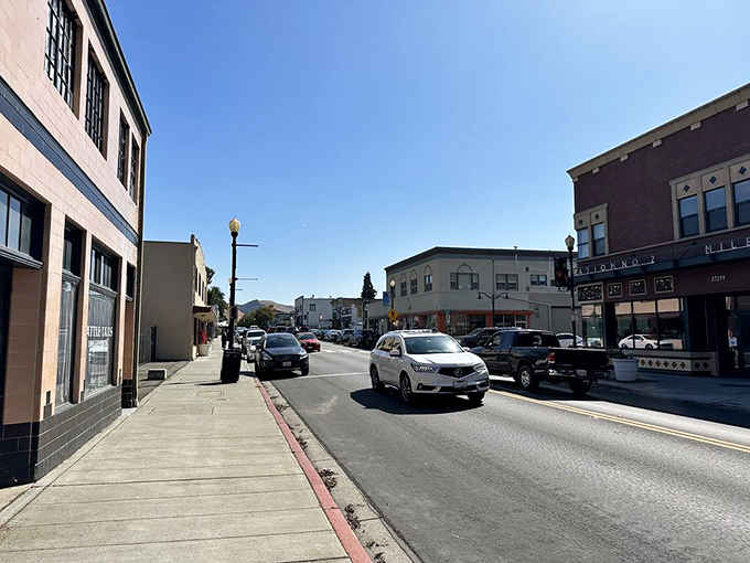 Historic Niles Boulevard: A living museum of Americana. It's where the past and present dance a perfect two-step.