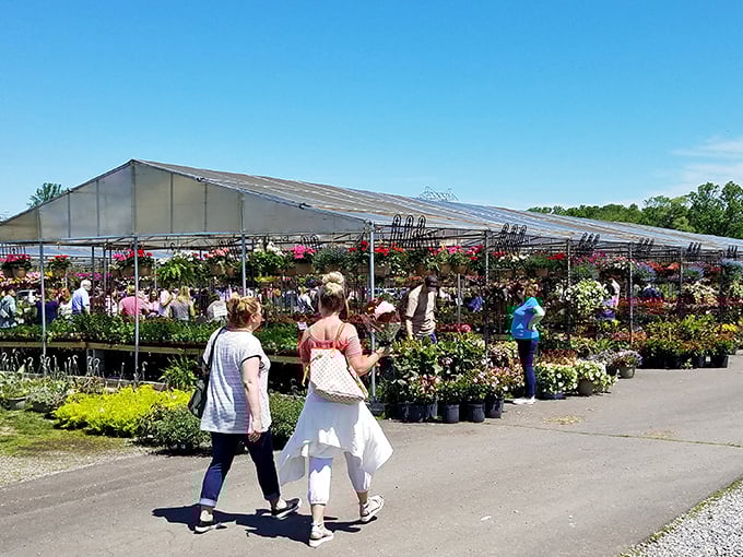 Floral frenzy meets flea market fun! It's a greenhouse of goodies where you can pick up a petunia and a vintage purse in one fell swoop.