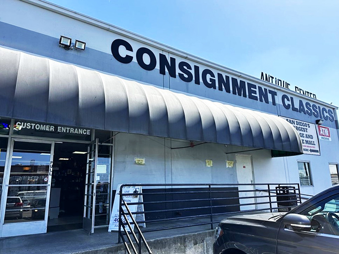 It's not hoarding if it's curated! Dive into this treasure trove of memories you never knew you had.