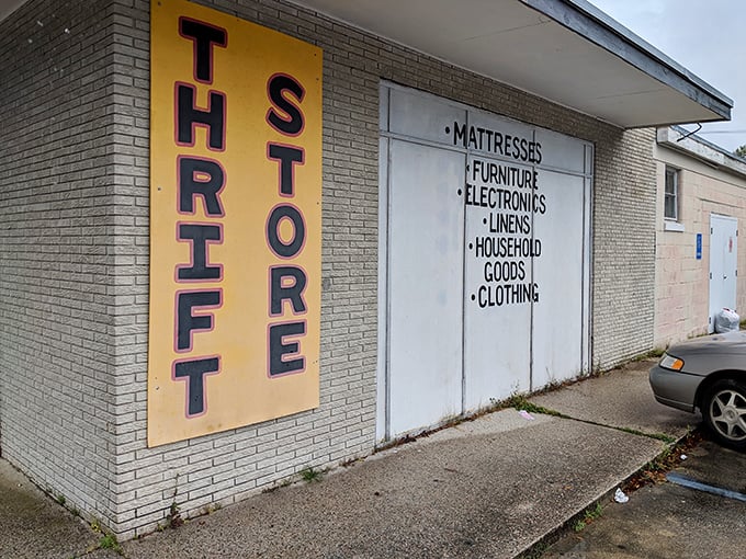 Thrift store by day, treasure trove always. It's like an antique roadshow, but you get to take home the prizes!