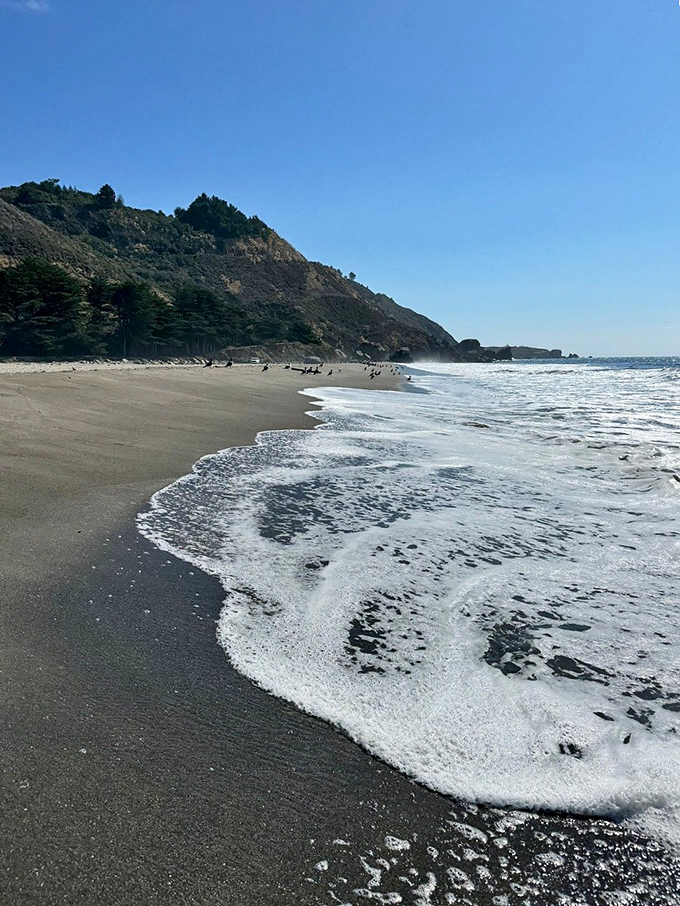 Miles of pristine sand at Stinson Beach. It's the perfect escape when you need a break from sourdough and cable cars.