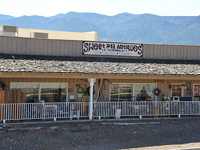 Nestled against a backdrop of mountains, Sweet Pea Trading is the secret garden of antiques you've been dreaming of.