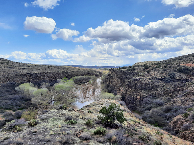 Red rocks, riparian areas, and views for days. Sycamore Canyon is like Mother Nature's greatest hits album, all in one hike.