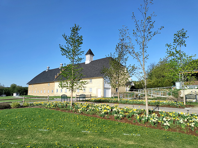 Old barn, new tricks! Historic structures provide a rustic backdrop to this botanical rainbow extravaganza.