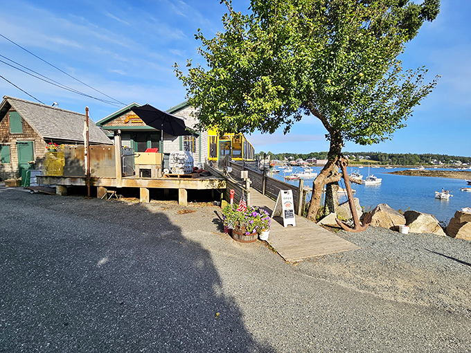 With a view that could make a postcard jealous, Thurston's serves up lobster so fresh, it might try to pinch you back.