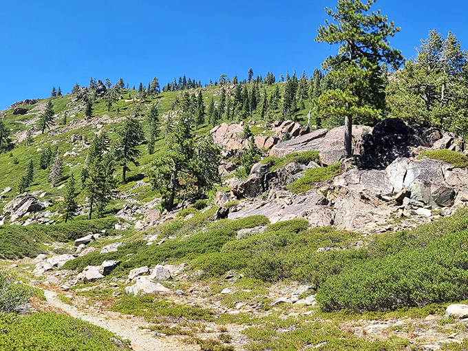 Sierra Buttes loom like nature's skyscrapers. The lake at the end is so clear, fish think they're flying.