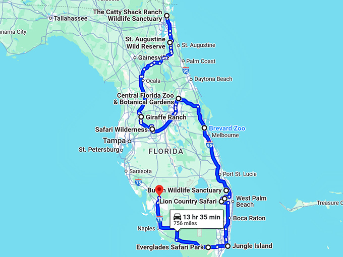 wild-adventure-florida-animal map