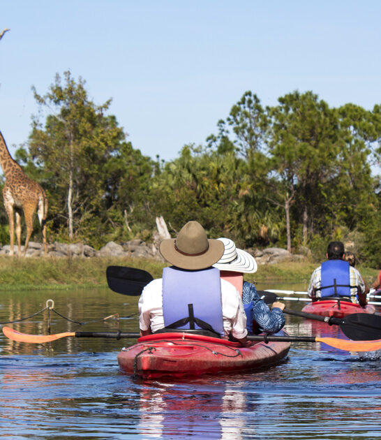 adventurous animal encounters florida ftr