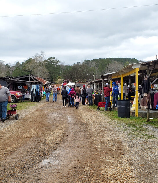 alabama bargain hunting markets ftr