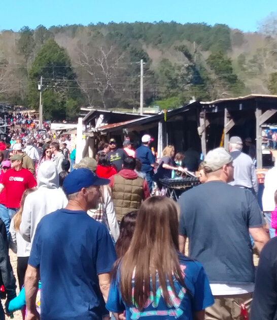 alabama rare treasures ftr