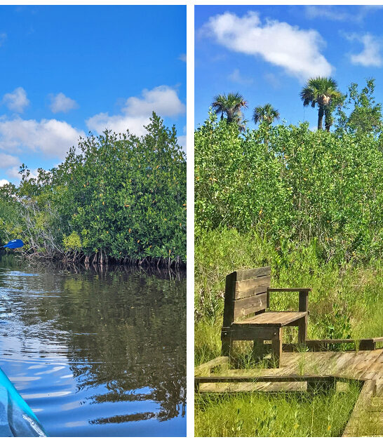 amazon north america florida ftr