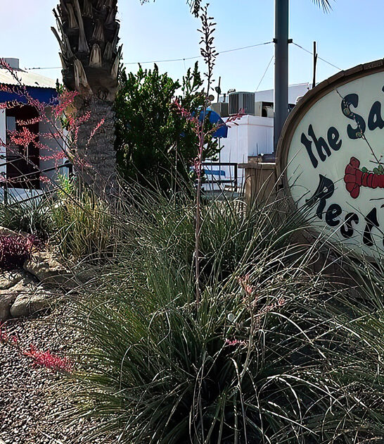 arizona best seafood restaurants ftr