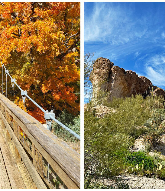 arizona enchanting desert gardens ftr
