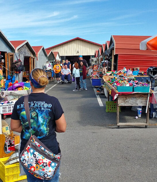 bargain hunting market tennessee ftr