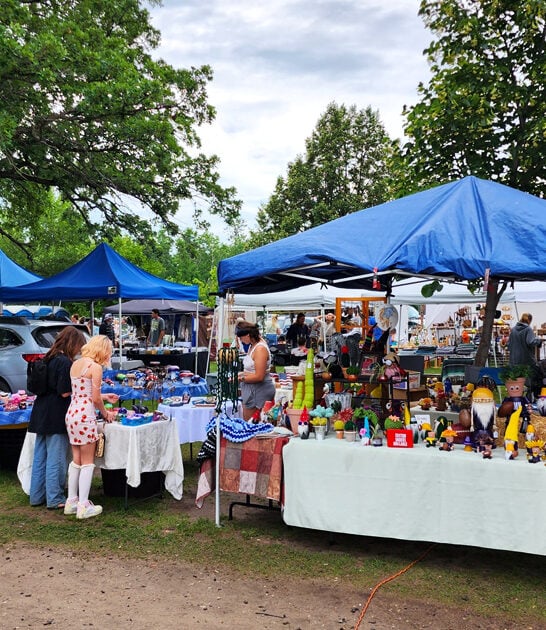 bargain hunting minnesota FTR