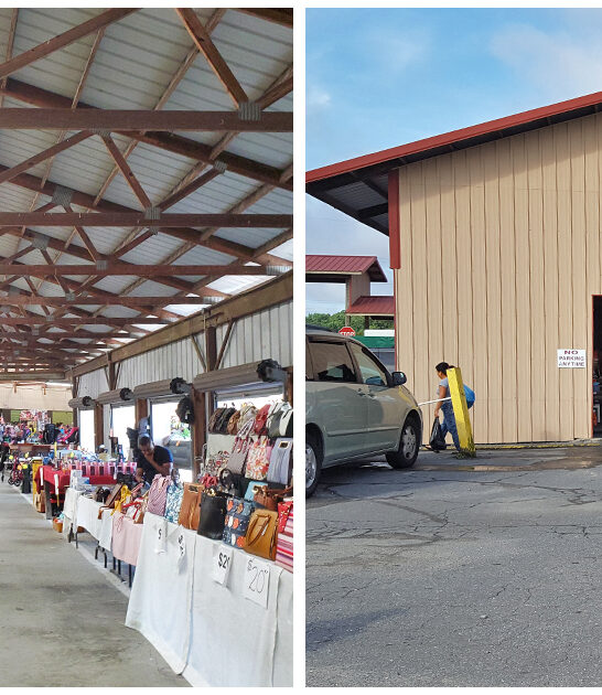 bargain hunting south carolina FTR