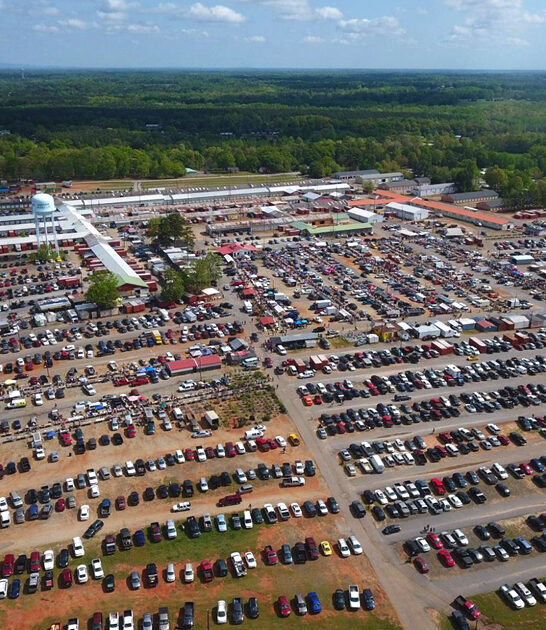 bargain markets south carolina ftr