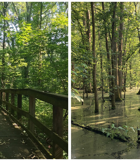 beautiful-secret-park-tennessee ftr