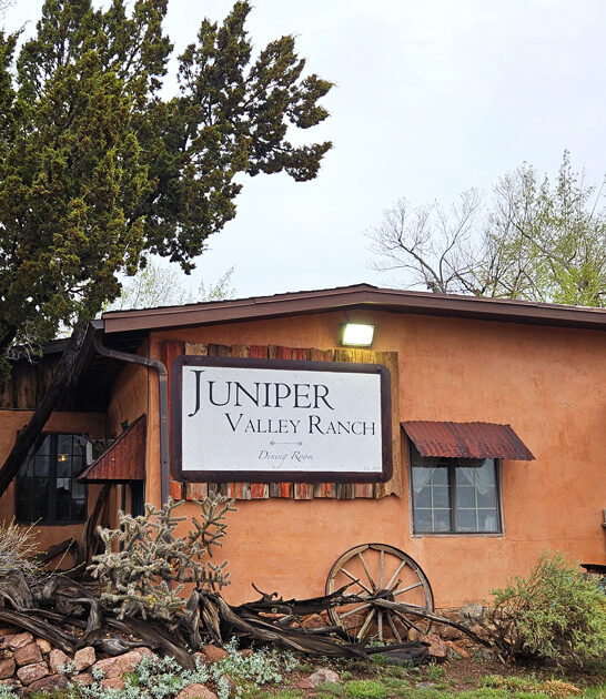 best chicken restaurant colorado ftr