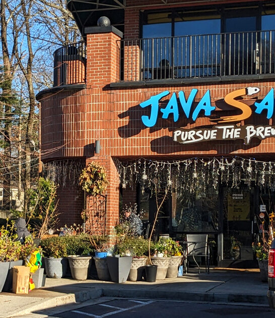 best fried chicken doraville ga ftr