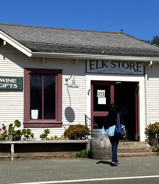 best wines elk ca FTR