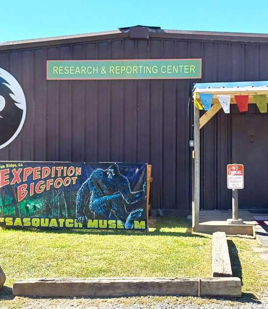 bigfoot-collection-blue-ridge-ga FTR