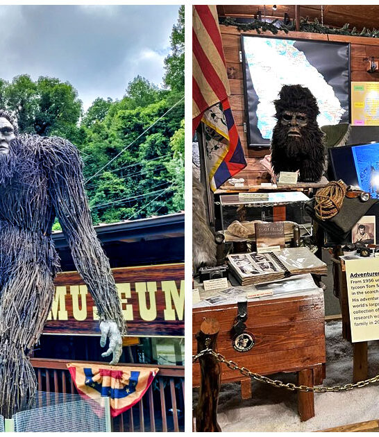 bigfoot-museum-blue-ridge-ga-FTR