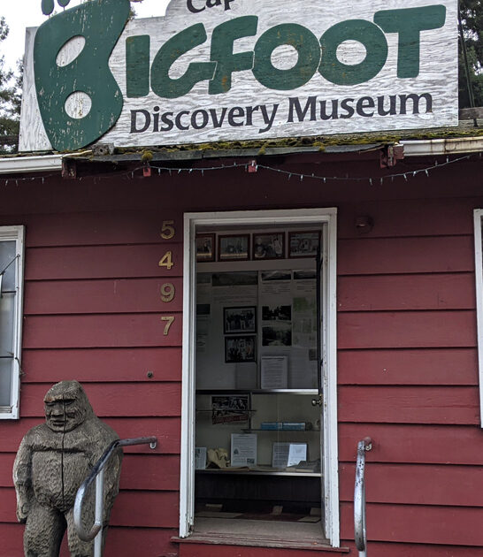 bizarre bigfoot museum california FTR