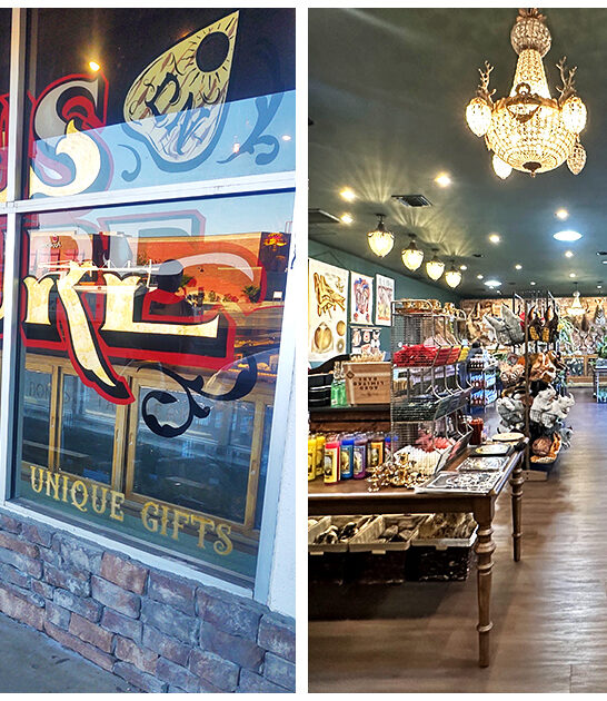 bizarre curiosity shops arizona ftr