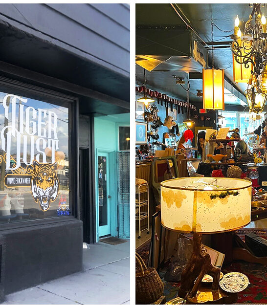 bizarre florida antique shop ftr