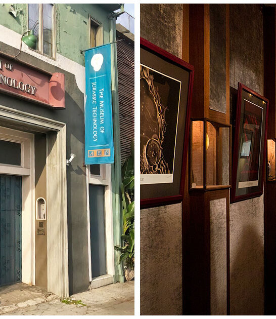 bizarre museum california FTR