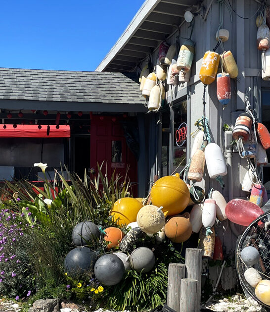 bodega bay ca seafood shack ftr