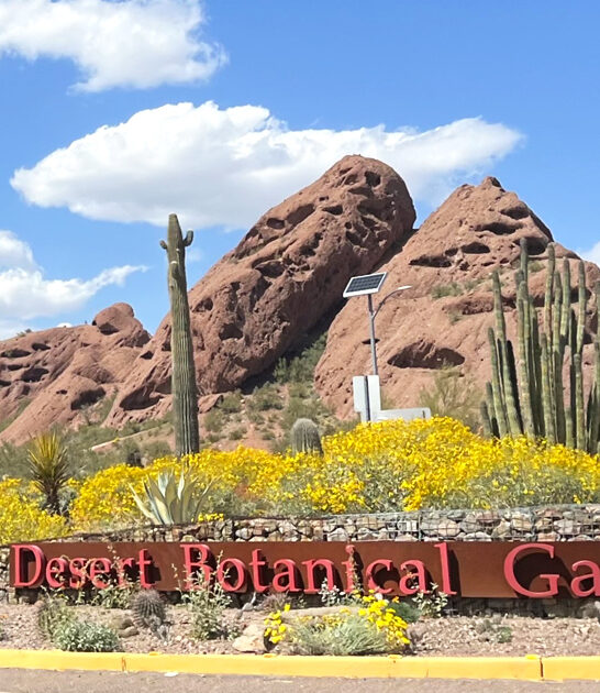 breathtaking gardens arizona ftr