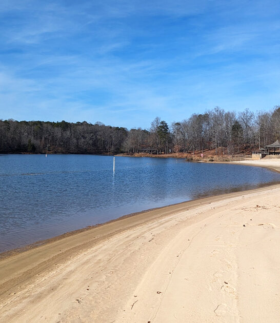 breathtaking lakeside beaches georgia ftr