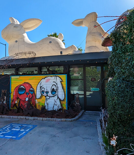 california bunny themed museum FTR