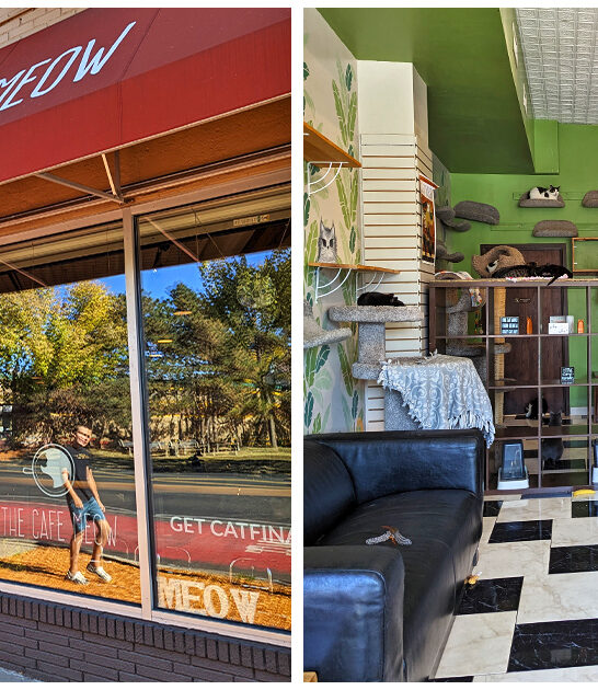 cat lover trip minnesota FTR