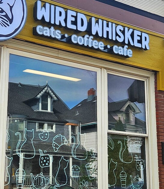 charming cat cafes minnesota FTR