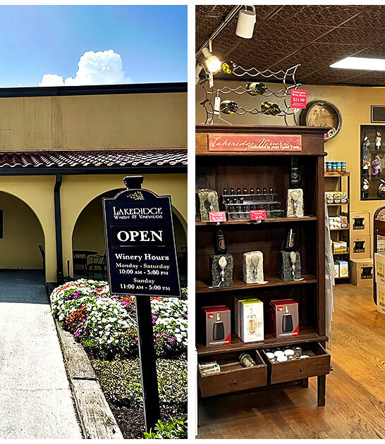 charming florida wineries ftr