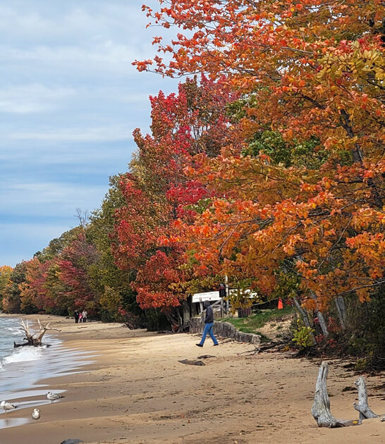 charming state park michigan ftr